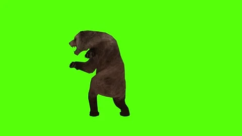 Bear Punch Right Green Sccreen Animation... | Stock Video | Pond5