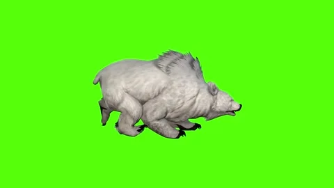 Bear Running Green Screen Animation 4K R... | Stock Video | Pond5