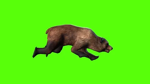 Running Animal Green Screen Stock Video Footage | Royalty Free Running ...