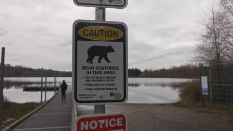 Bear sightings in this area warning sign... | Stock Video | Pond5
