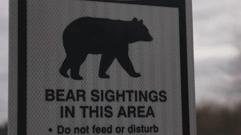 Bear sightings in this area warning sign... | Stock Video | Pond5