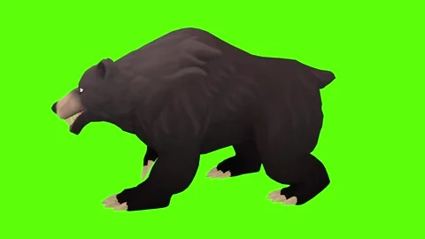 Bear Green Screen Stock Video Footage | Royalty Free Bear Green Screen ...
