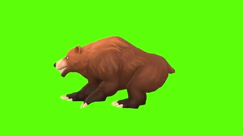 Bear Walking Green Screen Animation | Stock Video | Pond5