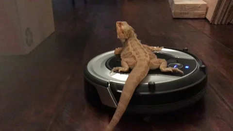 Roomba Stock Video Footage | Royalty Free Roomba Videos | Pond5