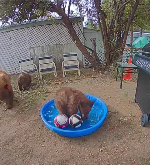 Kiddie Pool Stock Video Footage | Royalty Free Kiddie Pool Videos | Pond5