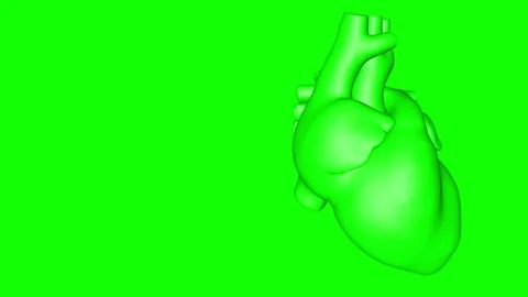 Beating human heart with green screen an... | Stock Video | Pond5