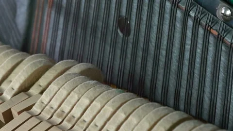 Soundbeats Pro Stock Videos – Royalty-Free HD & 4K Videos