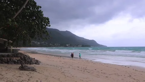 Beach Beau Stock Videos – Royalty-Free HD & 4K Videos | Pond5