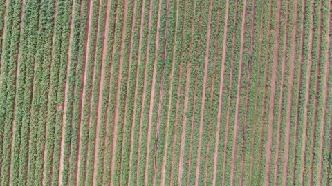 Photograph Area Stock Videos – Royalty-Free HD & 4K Videos | Pond5