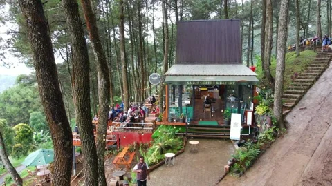 Beautiful aerial view, cafe in pine fore... | Stock Video | Pond5