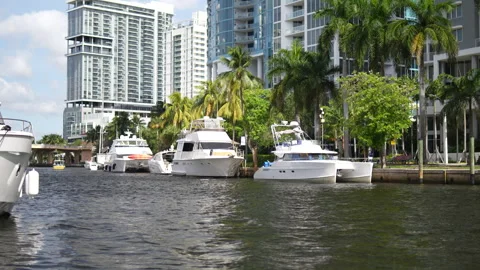 Flo Wavve Stock Videos – Royalty-Free HD & 4K Videos | Pond5