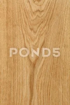 Beautiful and soft texture of oak fibers with an elongated vertical ...