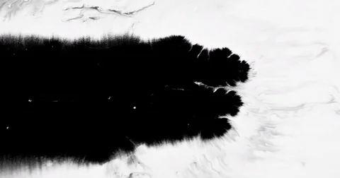 Black and White Stock Videos – Royalty-Free HD & 4K Videos