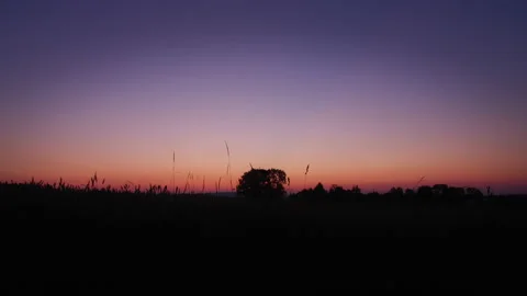 Beautiful Blue Hour Sunset. Tree on the ... | Stock Video | Pond5