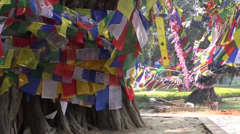Old Nepal Flag Stock Videos – Royalty-Free HD & 4K Videos | Pond5