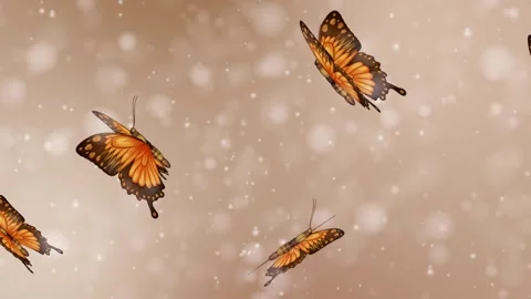 Beautiful Butterflies Flying on Bling Lo... | Stock Video | Pond5