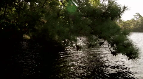 Camera Move Up Stock Videos – Royalty-Free HD & 4K Videos