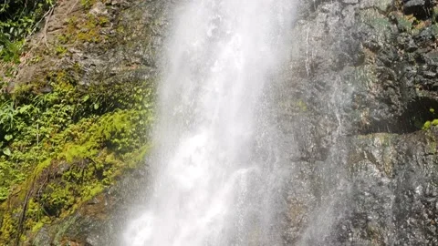 Beautiful Clear Waterfall Cascade in Tro... | Stock Video | Pond5