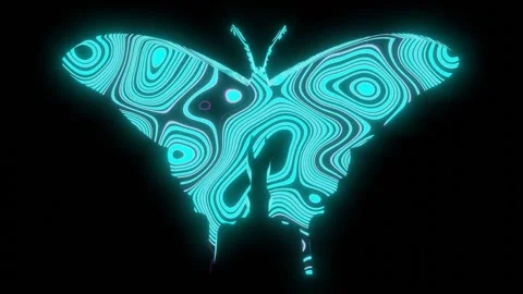 Body Beautiful Stock Videos – Royalty-Free HD & 4K Videos