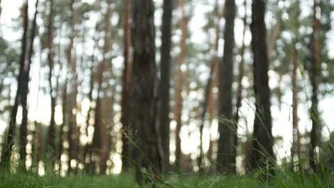 Beautiful colorful video background duri... | Stock Video | Pond5