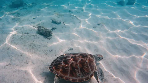 Sand Undersea Background Stock Videos – Royalty-Free HD & 4K Videos