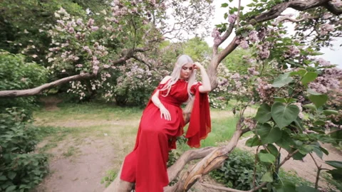 Beautiful elf girl dozes sitting on a tr... | Stock Video | Pond5