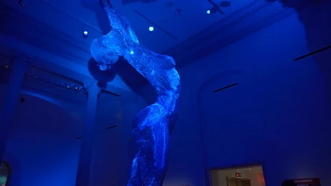 Beautiful Woman Artwork Stock Videos – Royalty-Free HD & 4K Videos