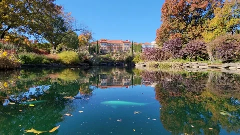 Beautiful fall color and mansion in the ... | Stock Video | Pond5