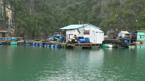 House In Ha Stock Videos – Royalty-Free HD & 4K Videos