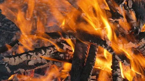 beautiful flaming wood fire. Oak wood. F... | Stock Video | Pond5