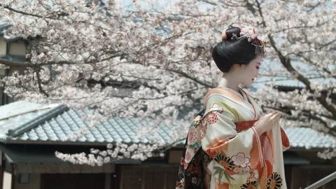 Beautiful geisha under cherry blossom tr... | Stock Video | Pond5