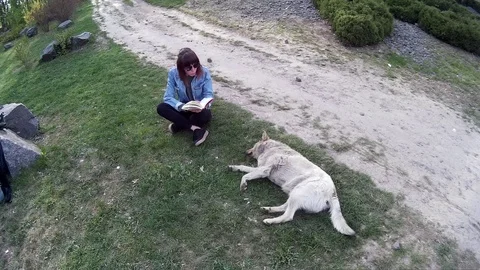 Beautiful girl reading a book to a stray... | Stock Video | Pond5
