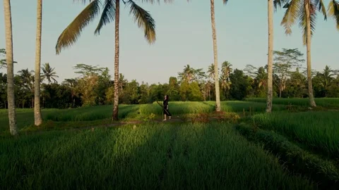 Beautiful graceful woman walking barefoo... | Stock Video | Pond5