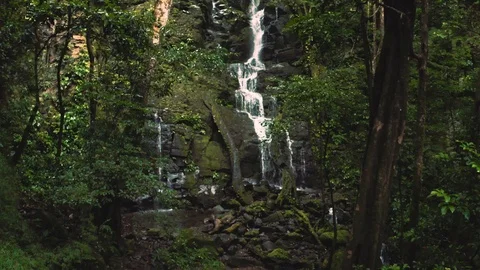 A beautiful jungle waterfall at a rocky ... | Stock Video | Pond5