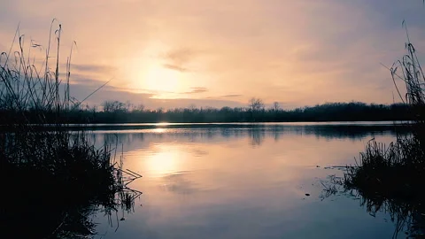 Beautiful lake in light of setting sun. ... | Stock Video | Pond5