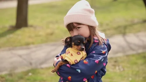 Beautiful little girl walk with cute dog... | Stock Video | Pond5