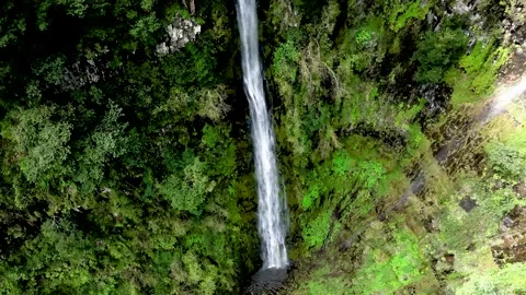Beautiful long waterfall amongst lush gr... | Stock Video | Pond5