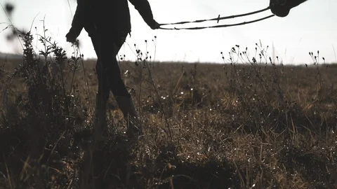 Mighty Lady Stock Videos – Royalty-Free HD & 4K Videos | Pond5