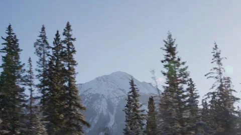 Flaru Seen Stock Videos – Royalty-Free HD & 4K Videos