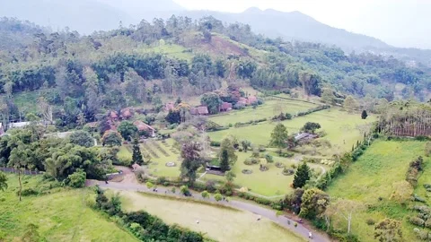 Flower Natural Scenery Stock Videos – Royalty-Free HD & 4K Videos | Page 6