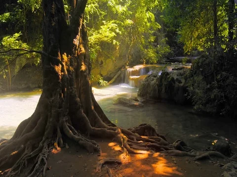 Big Old S Stock Videos – Royalty-Free HD & 4K Videos | Page 3