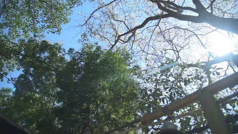 A Beautiful, open temple - Southadka Shr... | Stock Video | Pond5