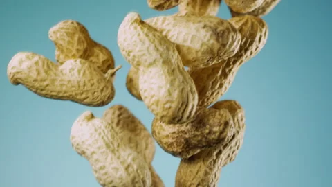 Peanuts Falling Stock Videos – Royalty-Free HD & 4K Videos | Pond5