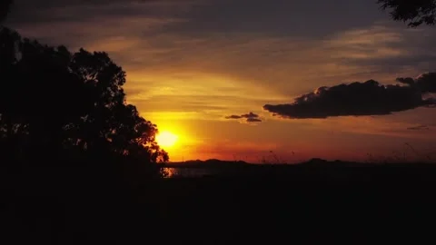 Floral Photo Backdrop Stock Videos – Royalty-Free HD & 4K Videos | Pond5