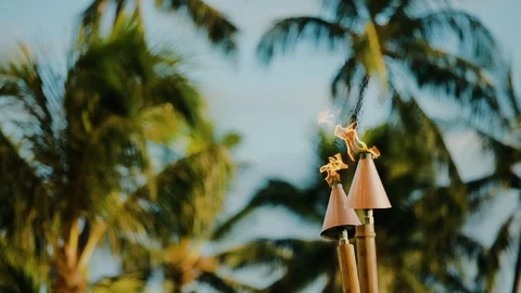 Fired Picture Stock Videos – Royalty-Free HD & 4K Videos | Pond5