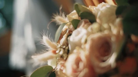 Pink Birthday Backdrop Stock Videos – Royalty-Free HD & 4K Videos