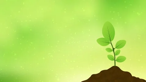 beautiful plant growing animation on gre... | Stock Video | Pond5