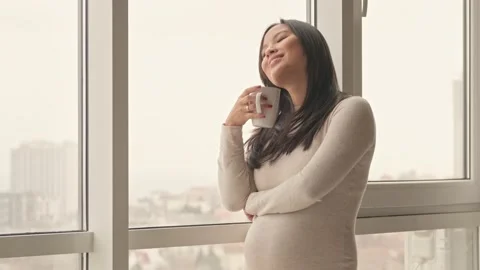 A beautiful pregnant asian woman is patt... | Stock Video | Pond5