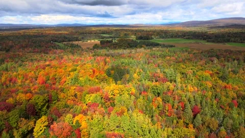 Beautiful Quebec at its peak in fall fol... | Stock Video | Pond5
