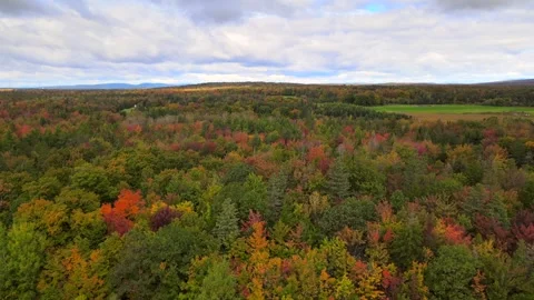 Beautiful Quebec at its peak in fall fol... | Stock Video | Pond5